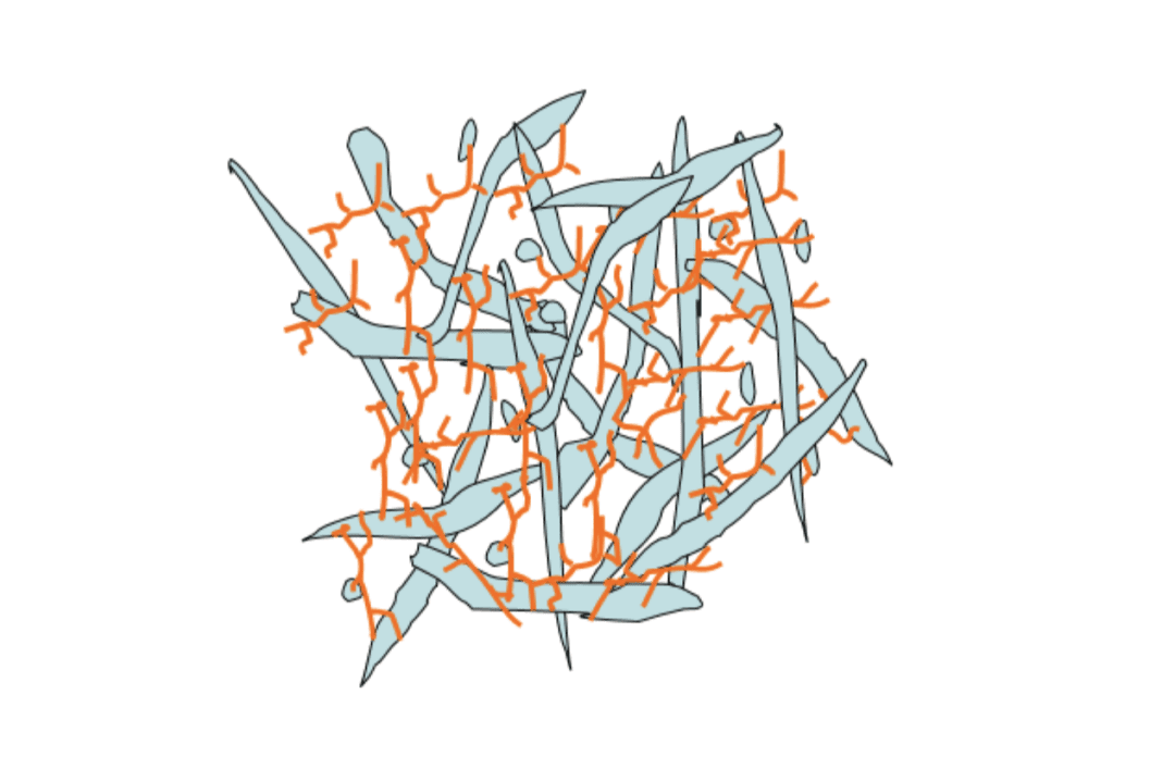 Dry & Wet Strength - Paper Process Application - APC Group