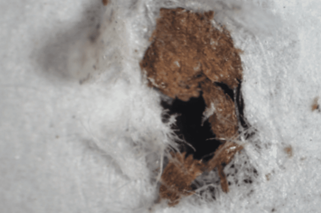 Pitch / Extractive Control - Complete Contaminant Management - APC Group